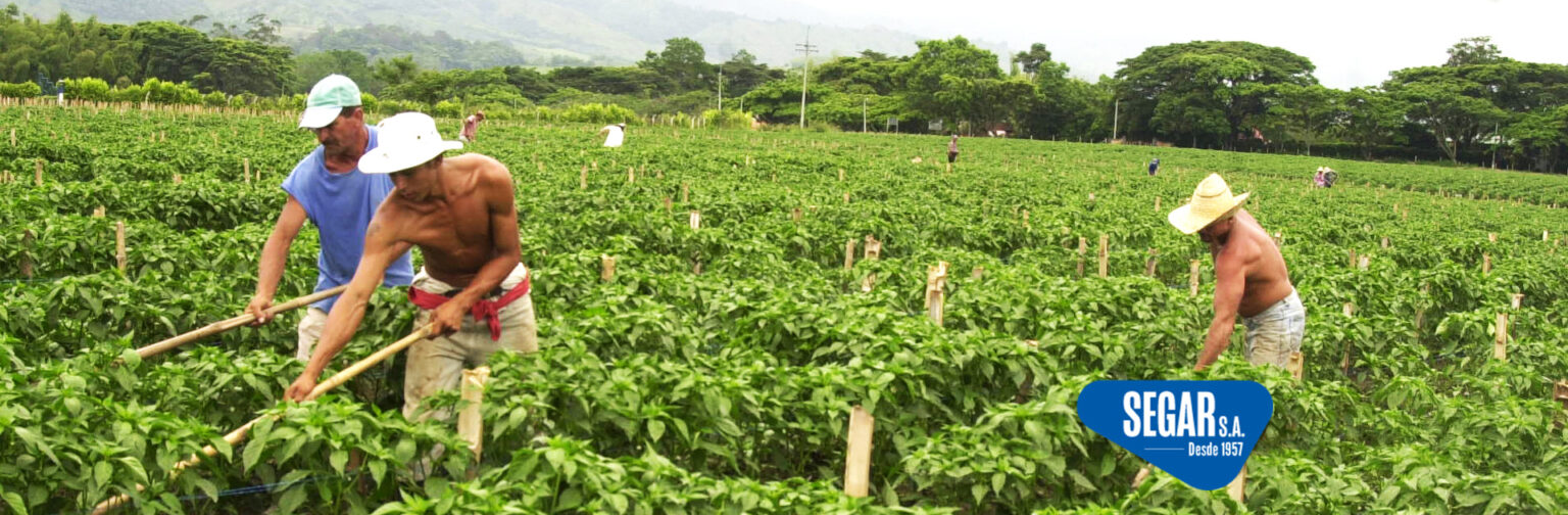 Segar SA - Su proveedor de confianza desde 1957